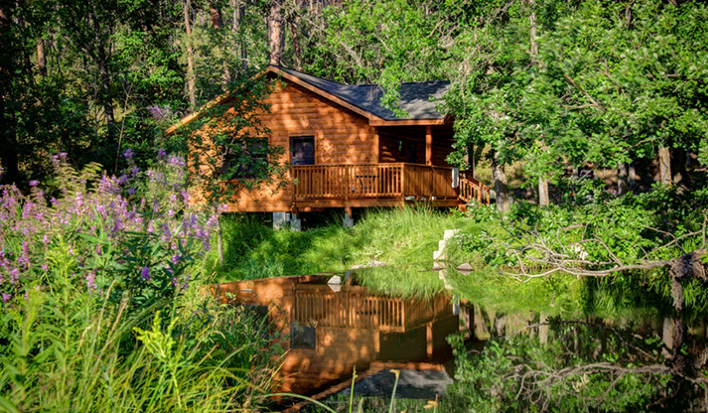 Choosing Your Cabin | Custer State Park Resort